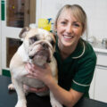 Meet Our Team - Castle Veterinary Group : Castle Veterinary Group