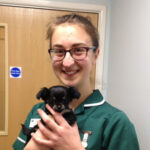 Meet Our Team - Castle Veterinary Group : Castle Veterinary Group