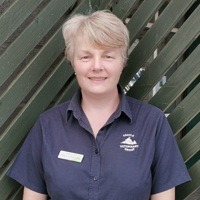 About Us - Castle Veterinary Group : Castle Veterinary Group