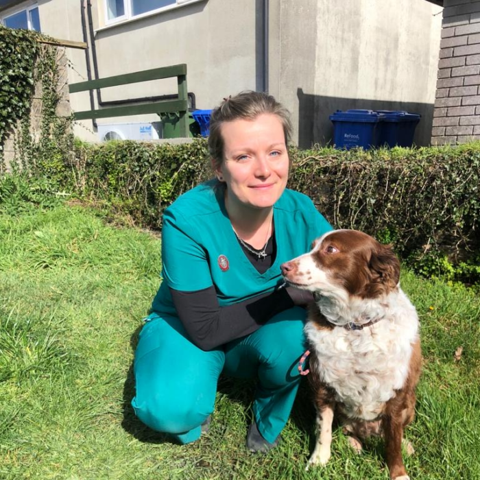 Meet Our Team - Castle Veterinary Group : Castle Veterinary Group