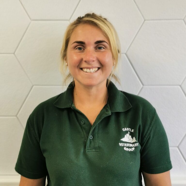 About Us - Castle Veterinary Group : Castle Veterinary Group